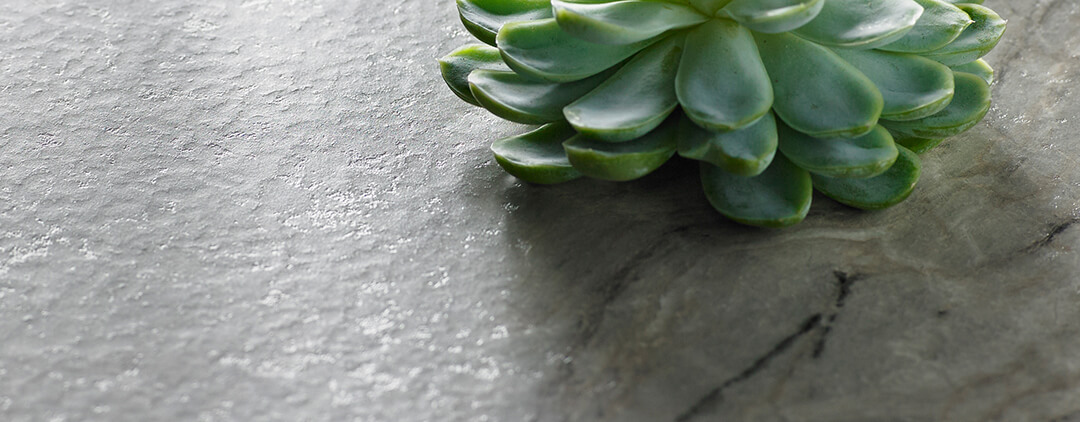 Silver Quartzite | Customcraft Countertops